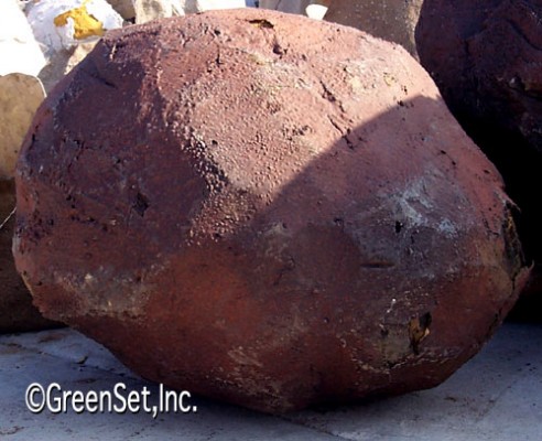 Green Set Inc: Motion Picture Plant Rentals